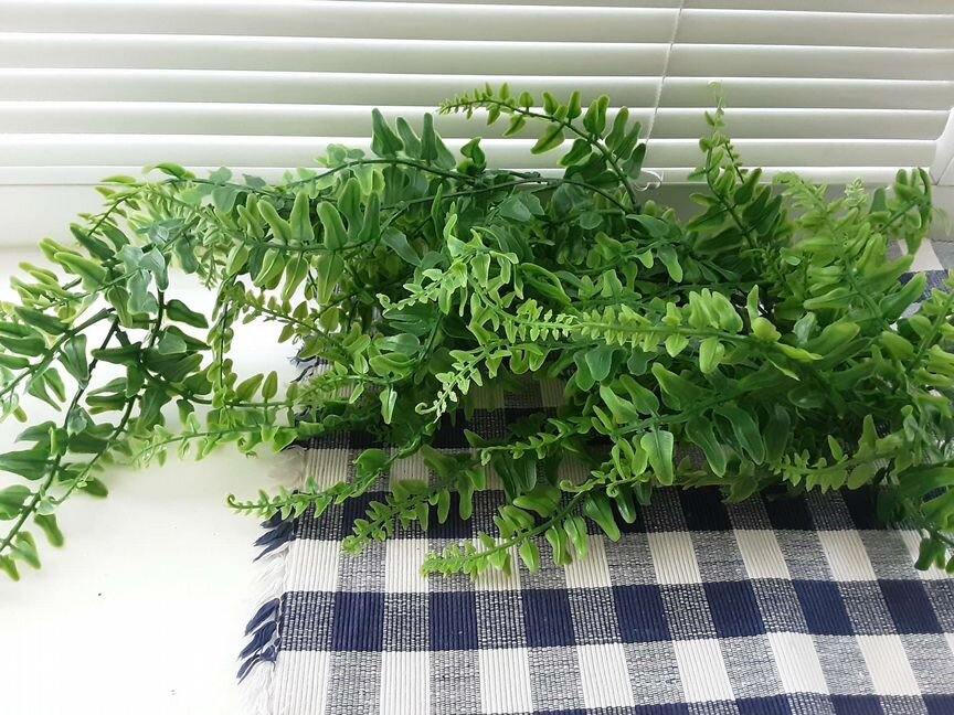 Декоративное растение для рептилий, укрытие