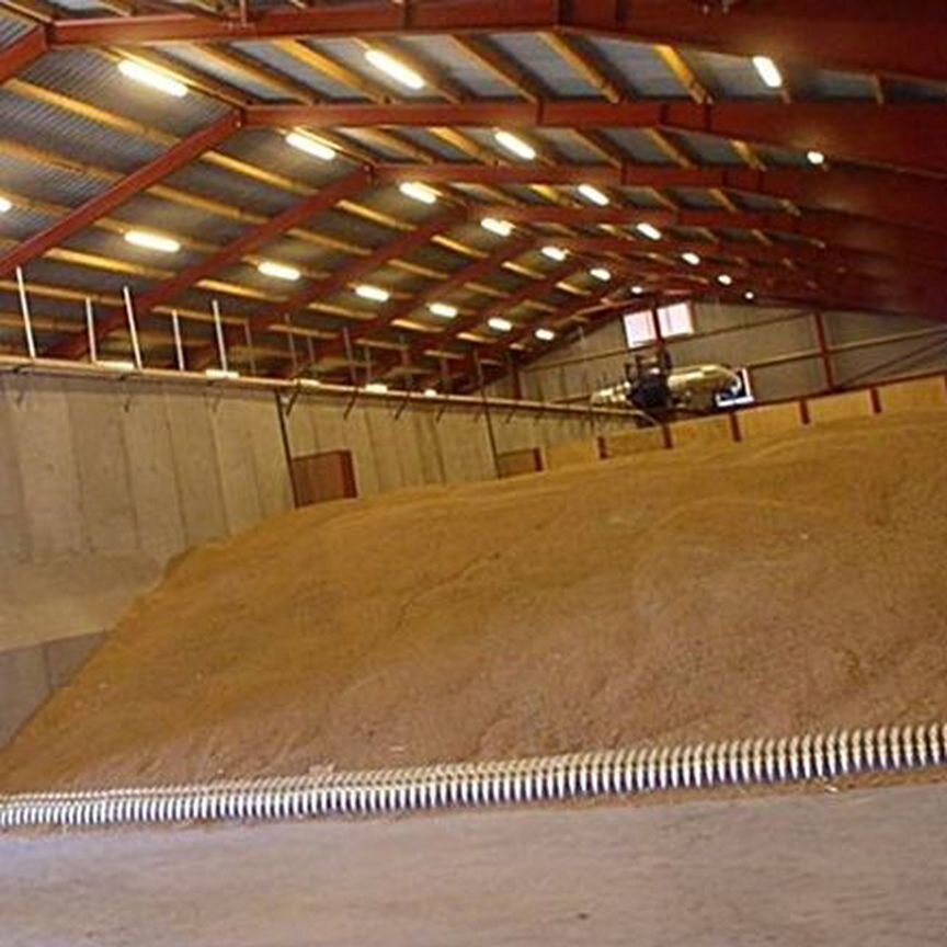 Пшеница для выпечки, кукуруза: оптовые закупки