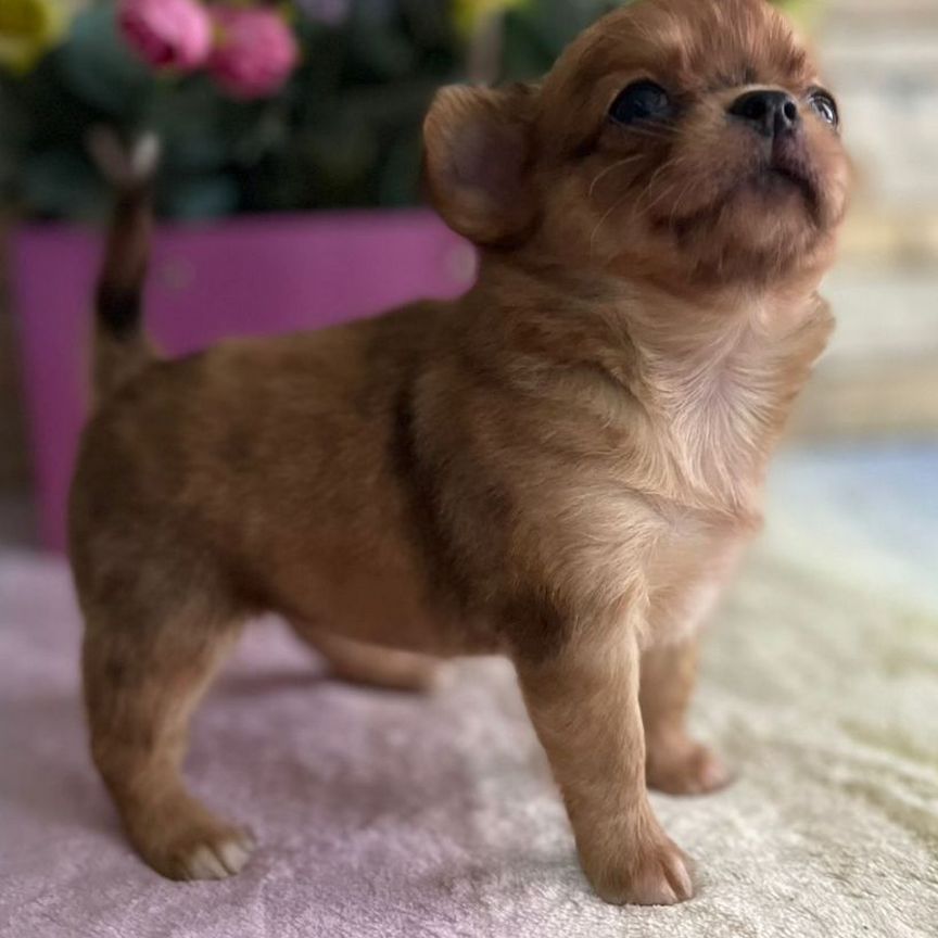 Девочка красный мрамор