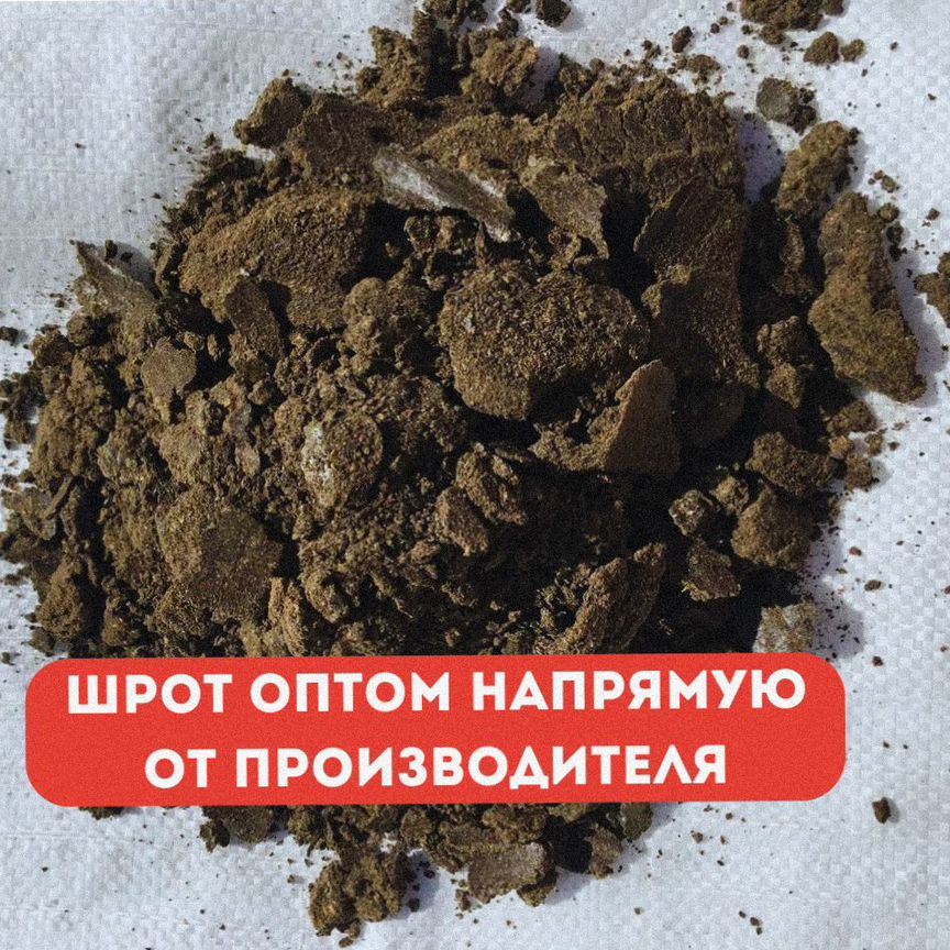 Шрот подсолнечный оптом ГОСТ