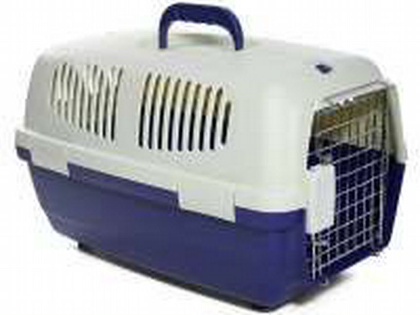 Переноска в аренду