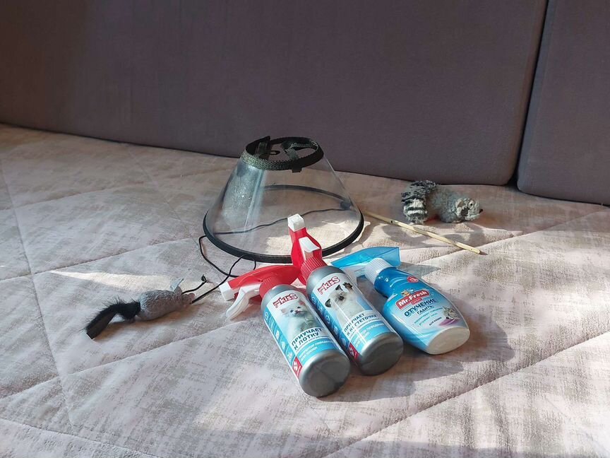 Все для вашего котика