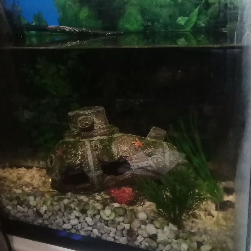 Аквариум 70л