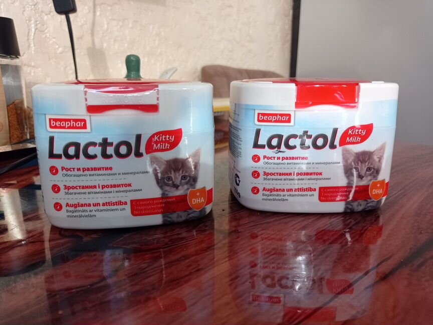 Сухое молоко для выкармливания котят Lactol