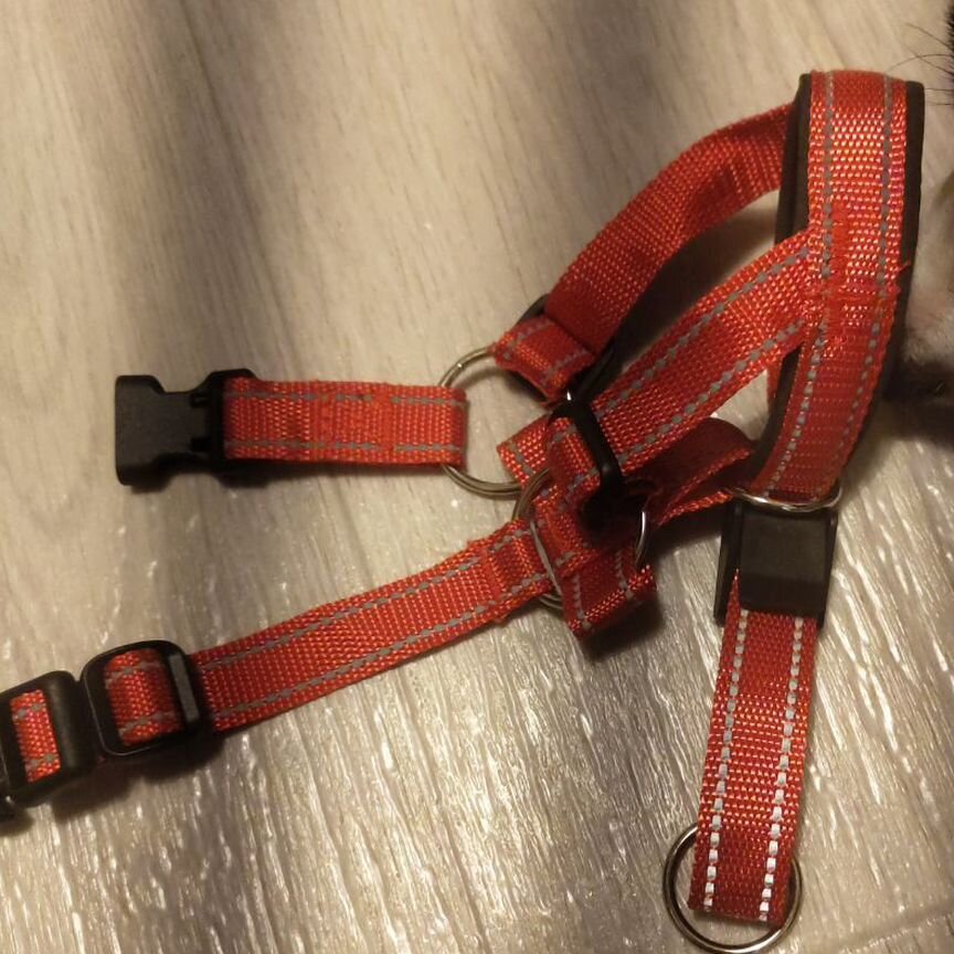 Недоуздок халти для собаки новый