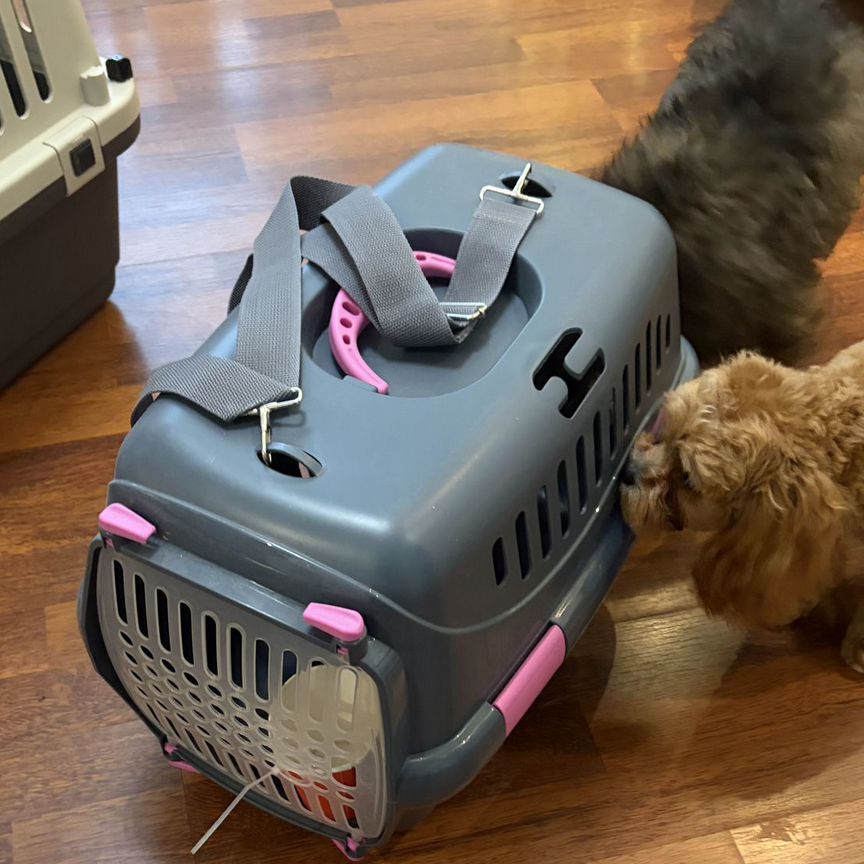 Переноска для кошек и собак, маленька