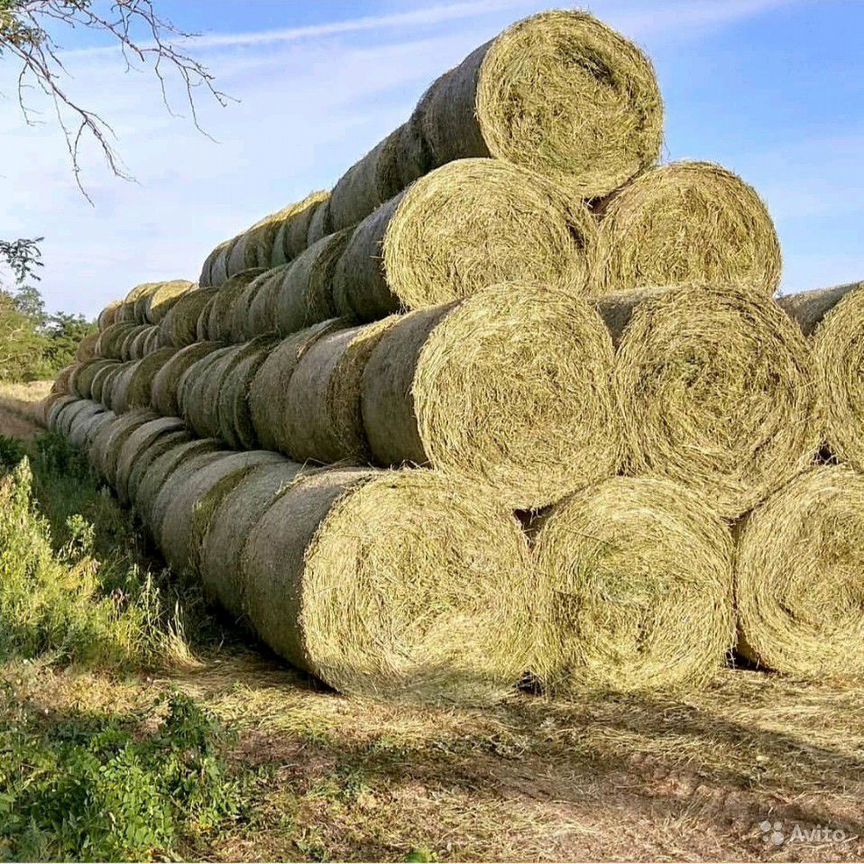 Продам сено и солому в тюках