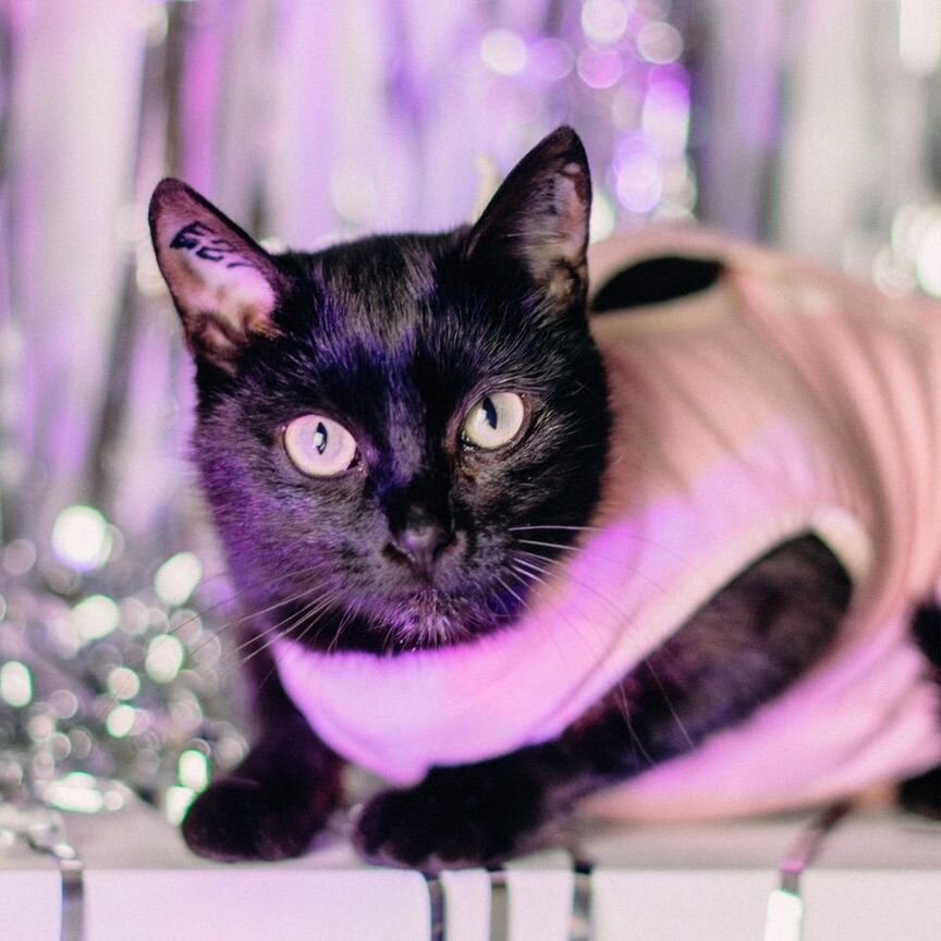 Через 5 дней выпуск на улицу