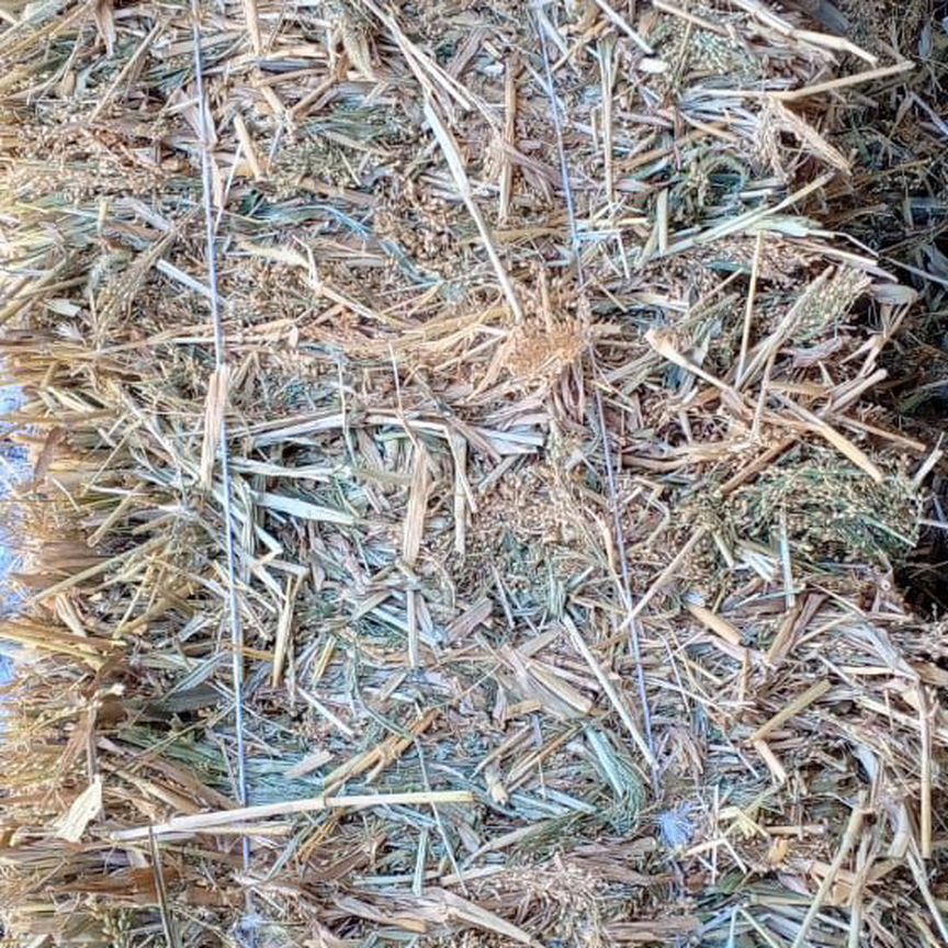 Сено в тюках