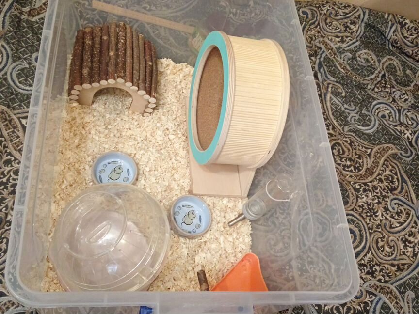 Уютный домик для грызунов