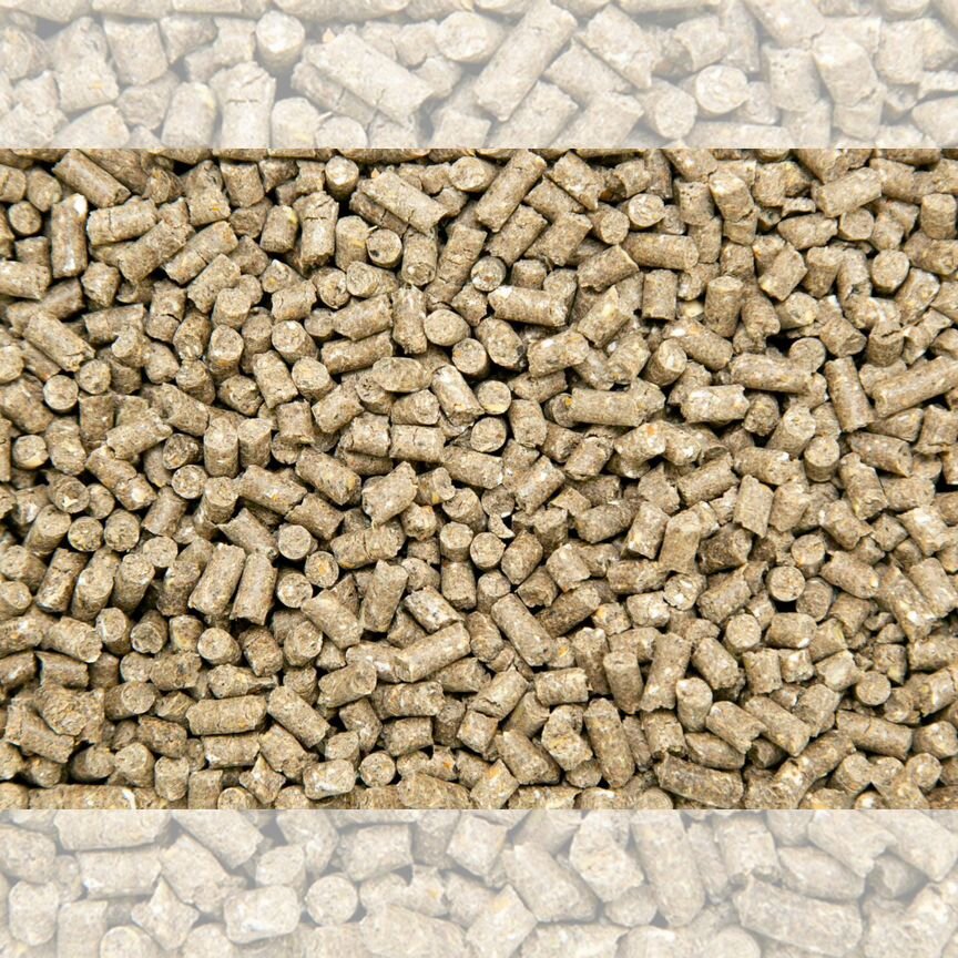 Гранулы корма для животных