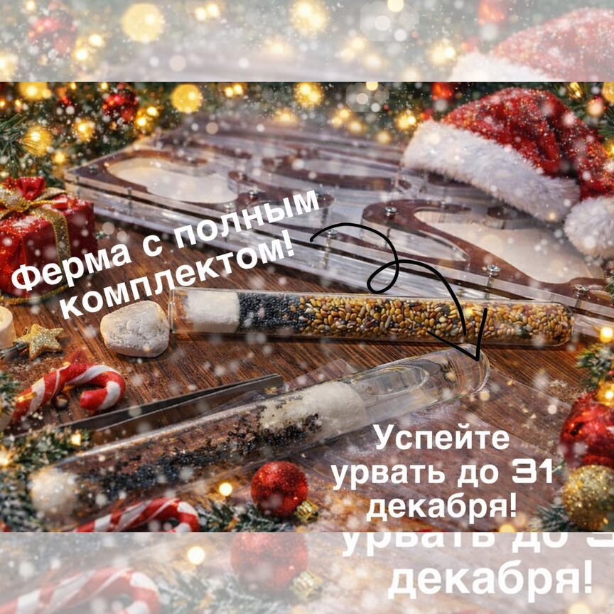 Фермы муравьиные новые