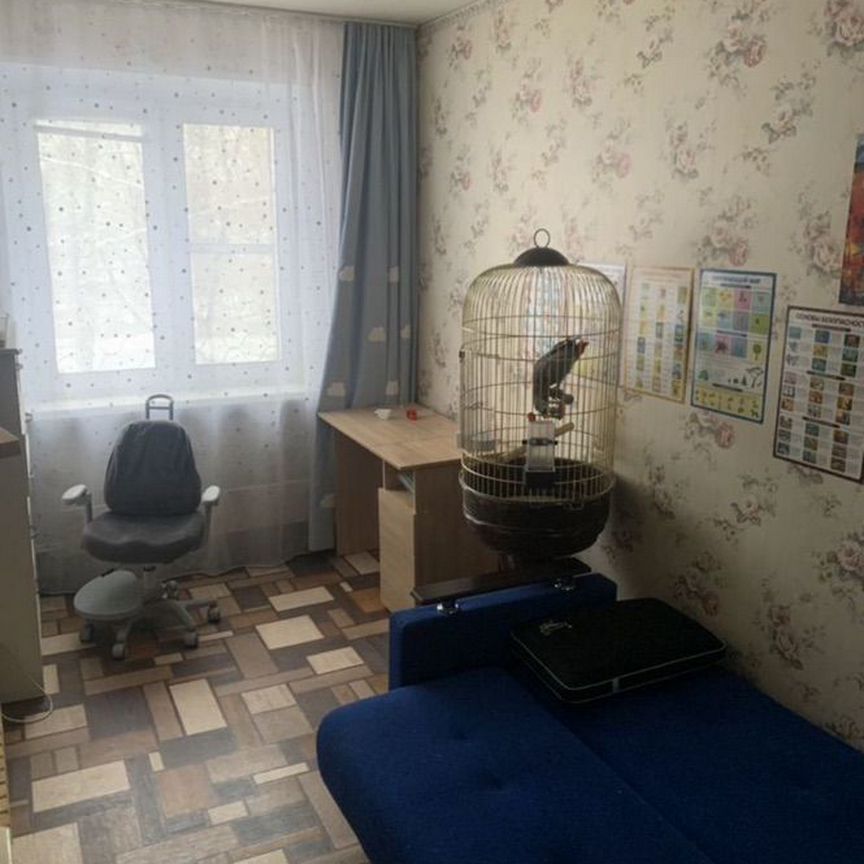 Продам большого попугая