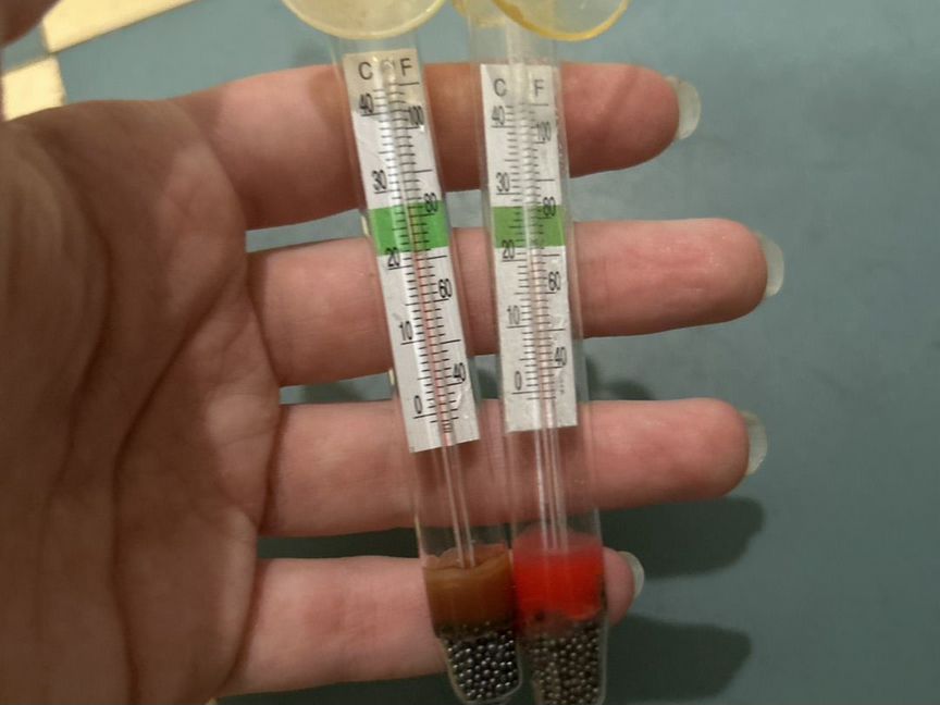 Градусник для аквариума