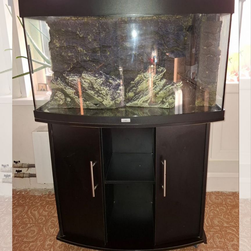 Аквариум Juwel Vision 180 с тумбой