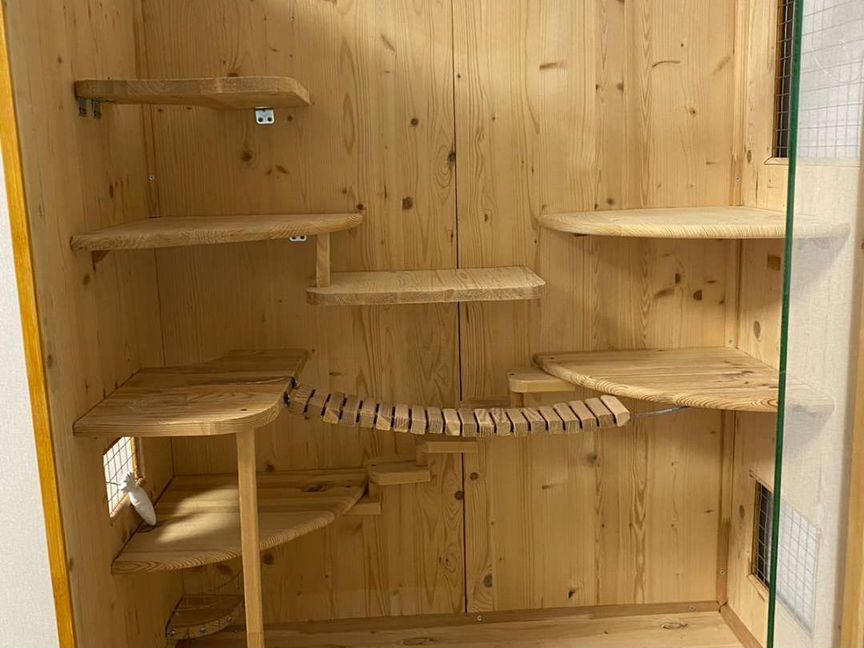 Витрина для шиншилл, грызунов, дегу