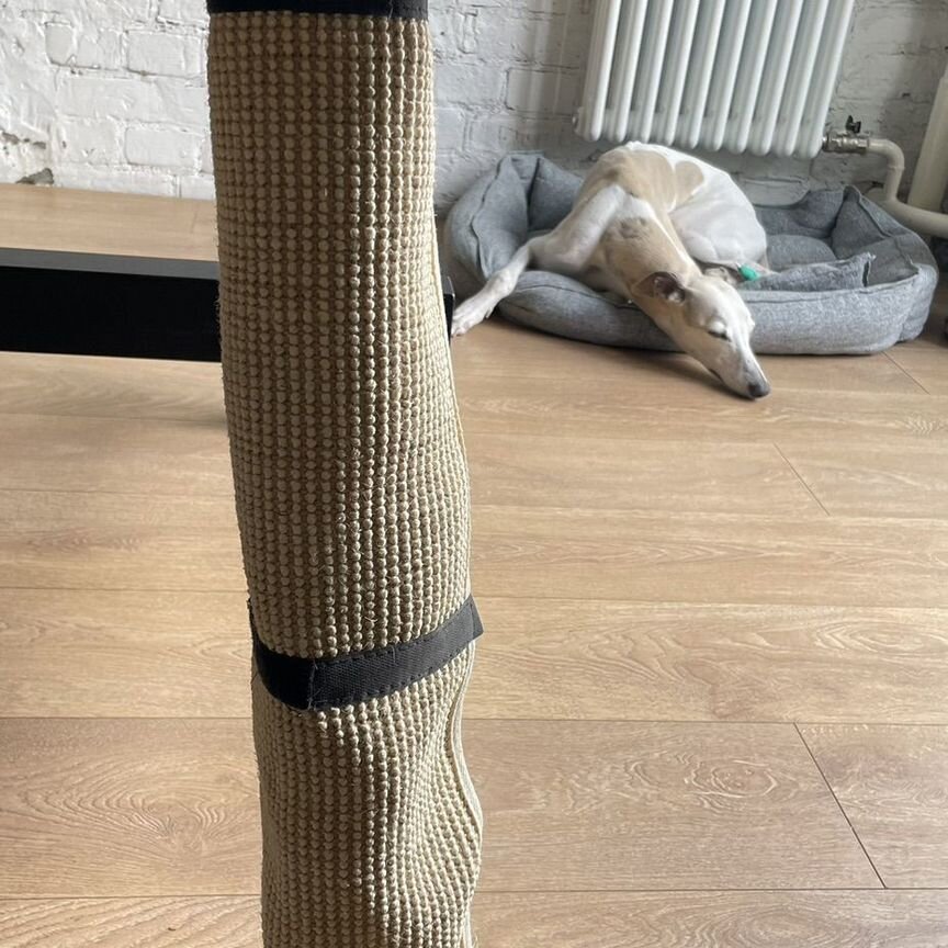 Когтеточка для кошек бу