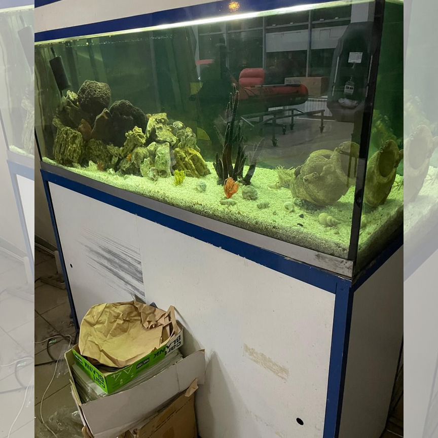 Аквариум 500 л