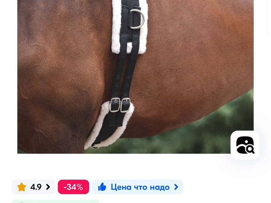 Гурта для лошади