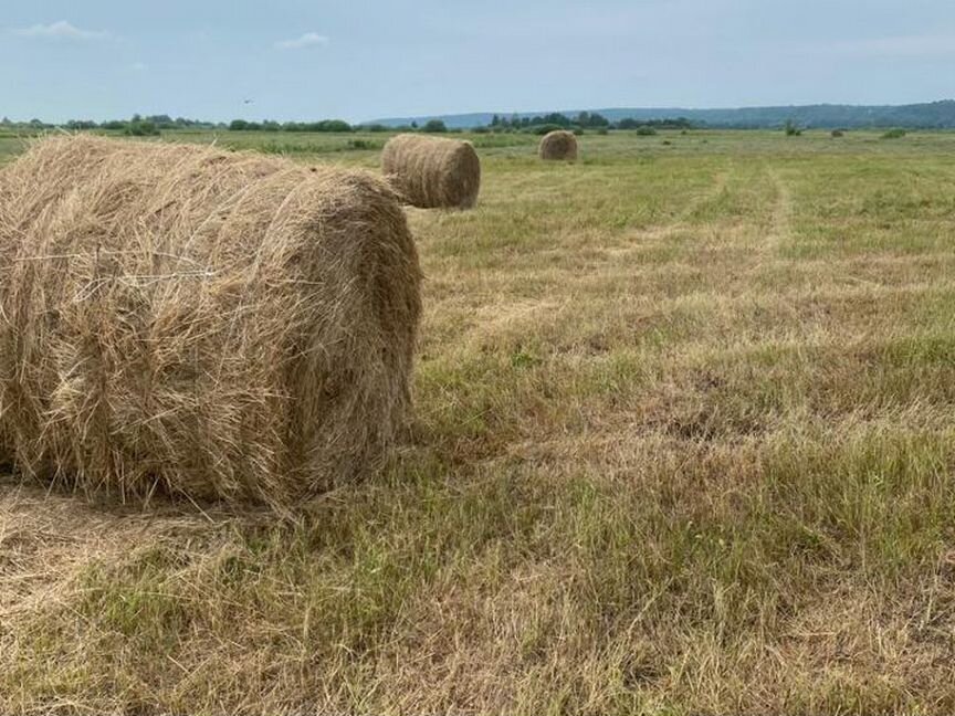 Сено в рулонах