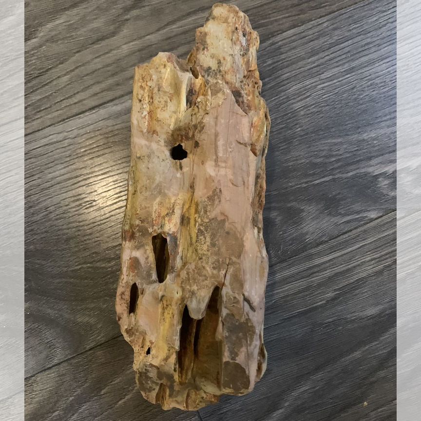 Камень дракон для аквариума