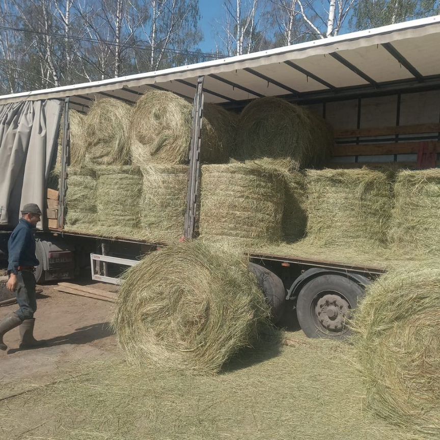 Сено в рулонах