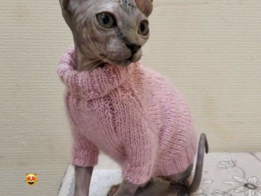 Свитер для котят