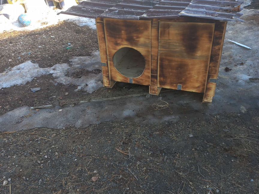 Будка для собаки новая домик для песика