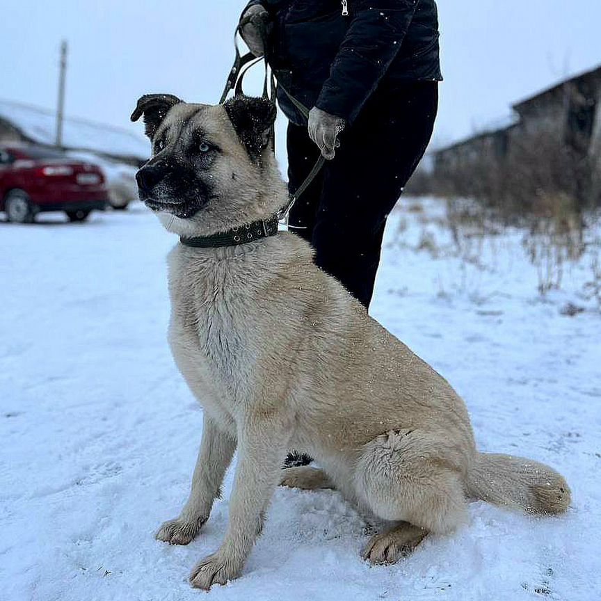 Стеша ищет семью