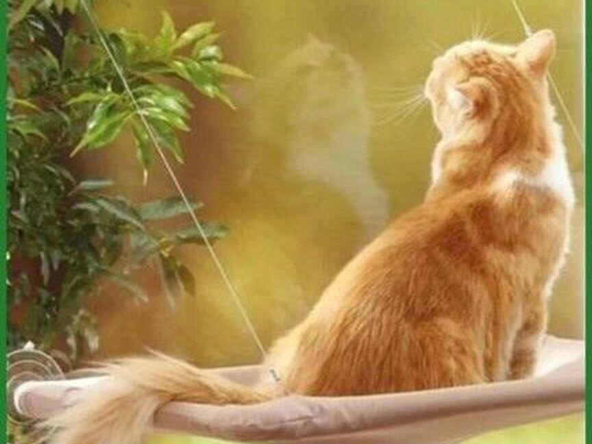 Лежанка гамак для кошек