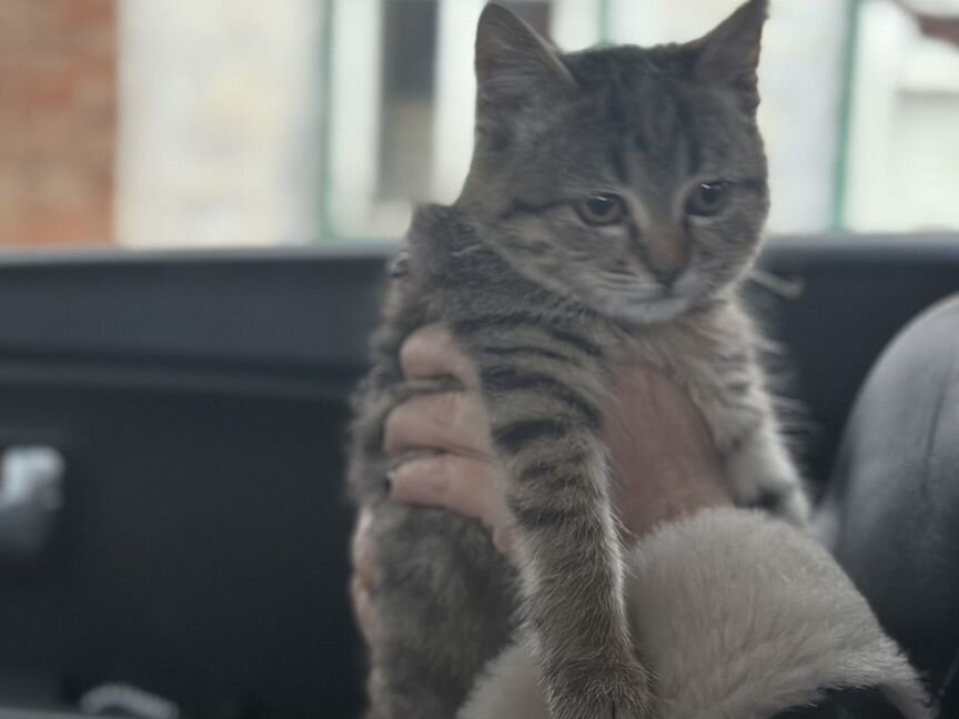 В самые любящие руки