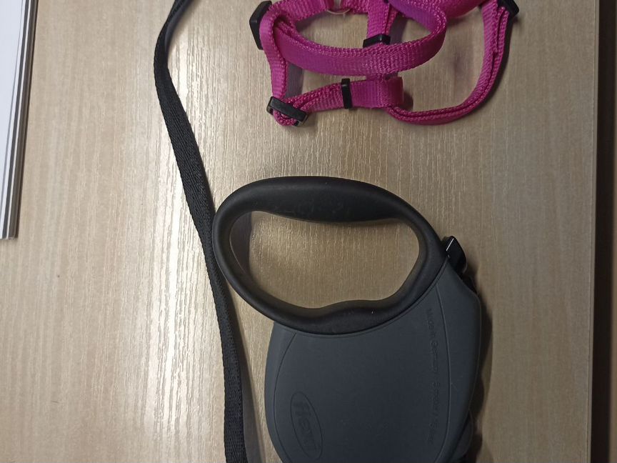 Рулетка для собак flexi 5м