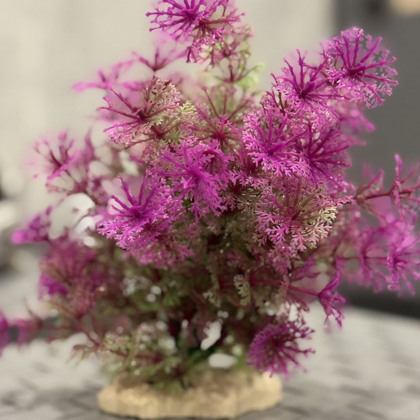 Декорации для аквариума