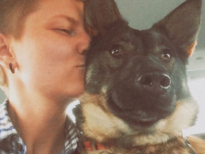 Милая Адель ищет дом