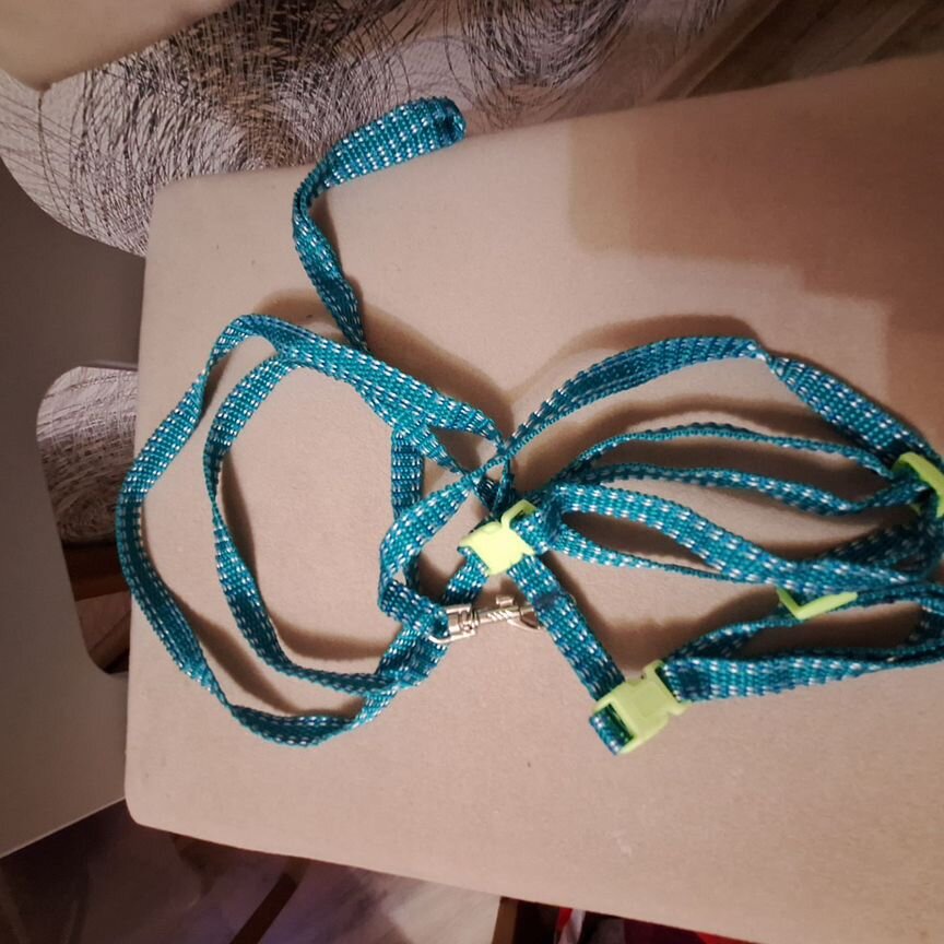 Шлейка для кошки