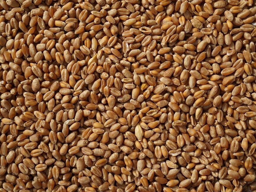 Продам зерно 2 т