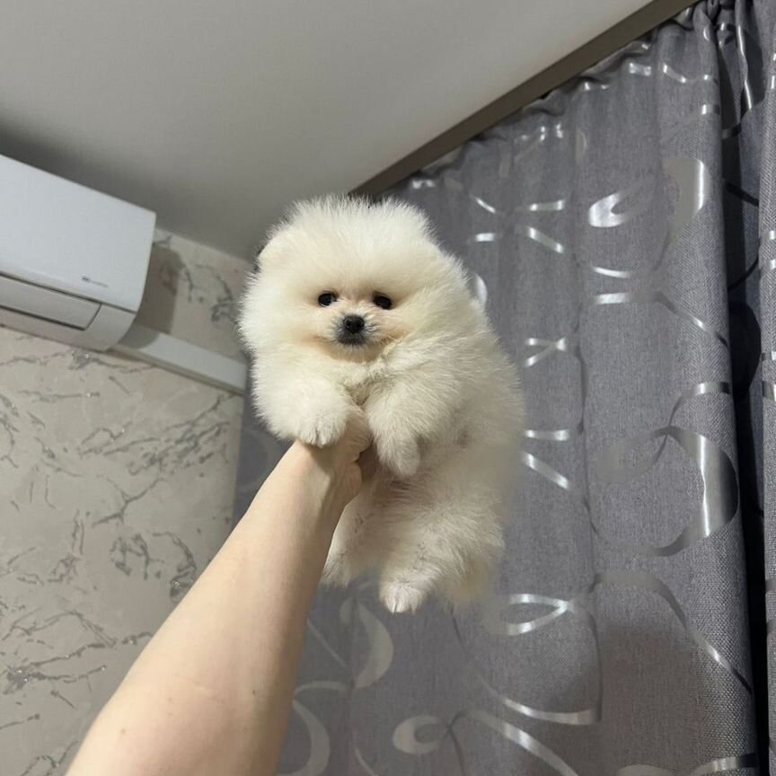 Мини мальчик