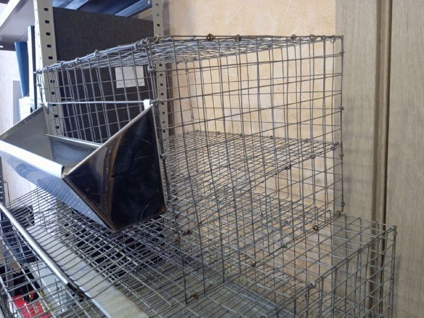 Клетки для перепелов, (Кормушки,конусы)