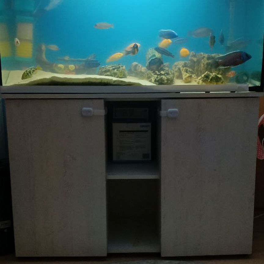 Аквариум с тумбой 200литров