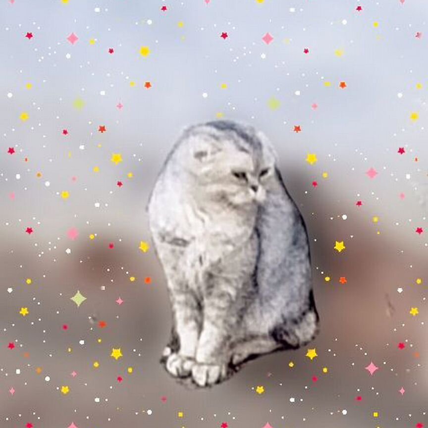 Котик в добрые руки