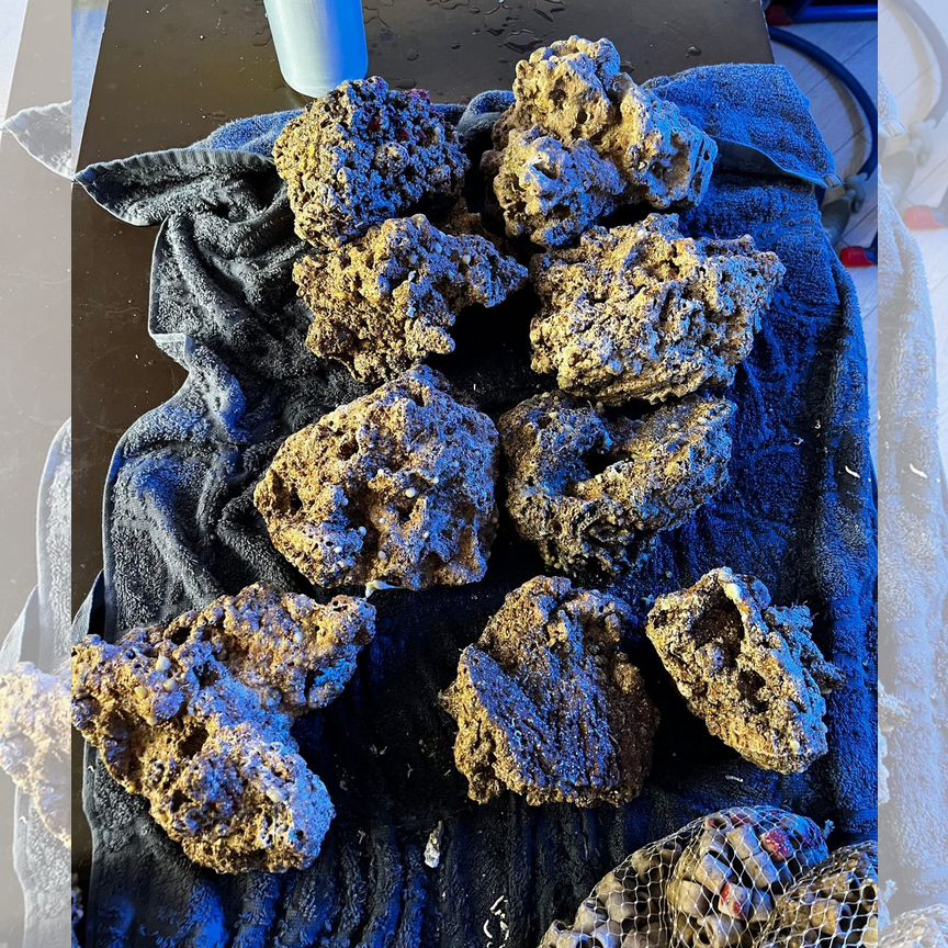 Живой камень для морского аквариума