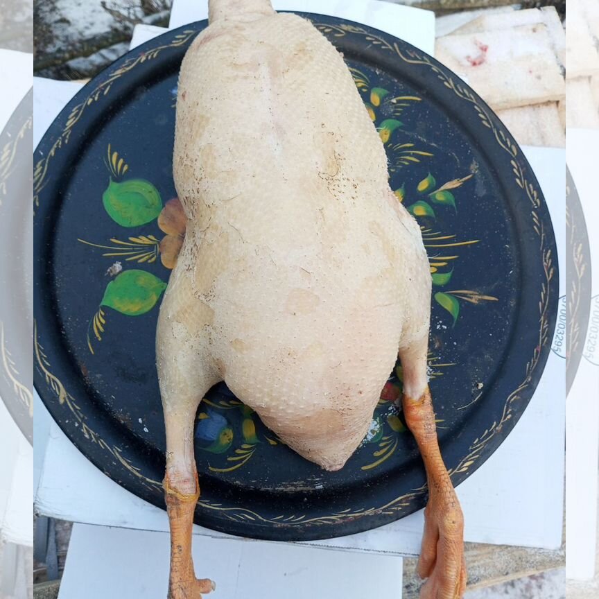 Гуси парные