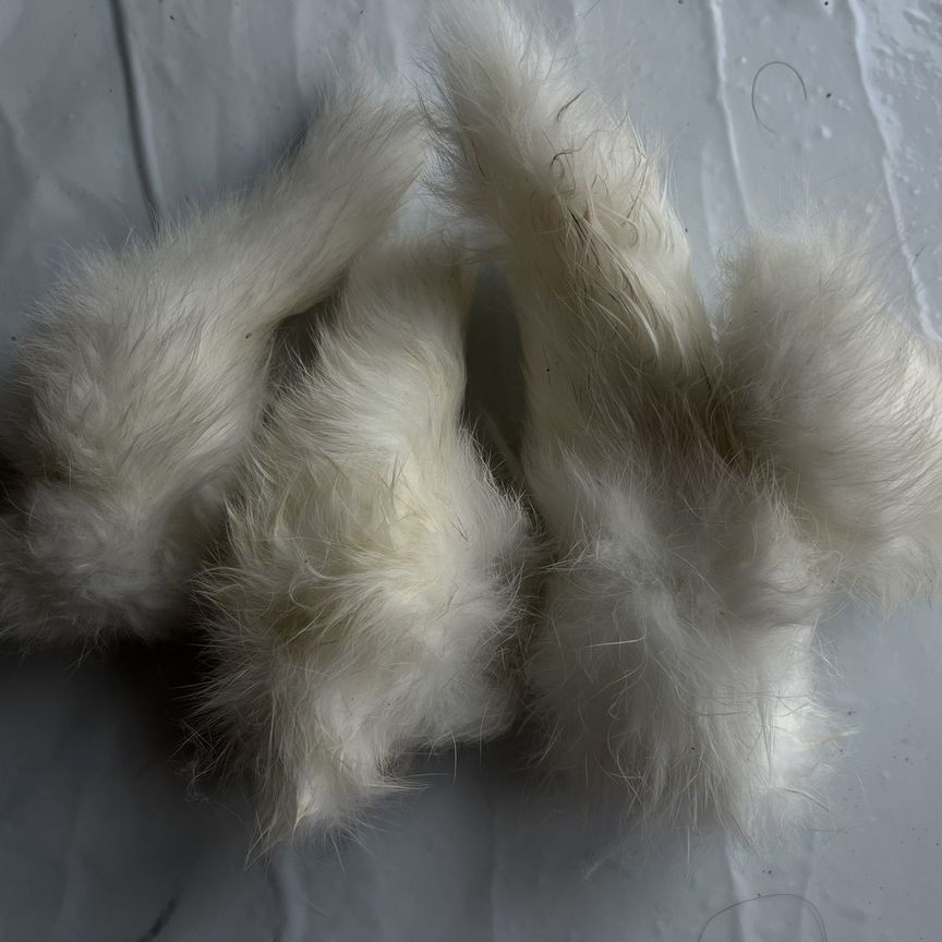 Сушеные хвостики кролика