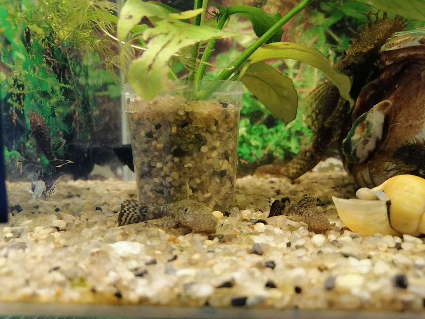 Украшение для аквариума