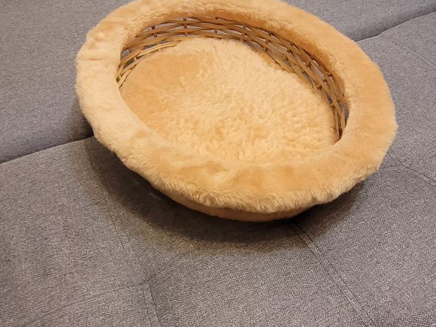 Кошачий лежак