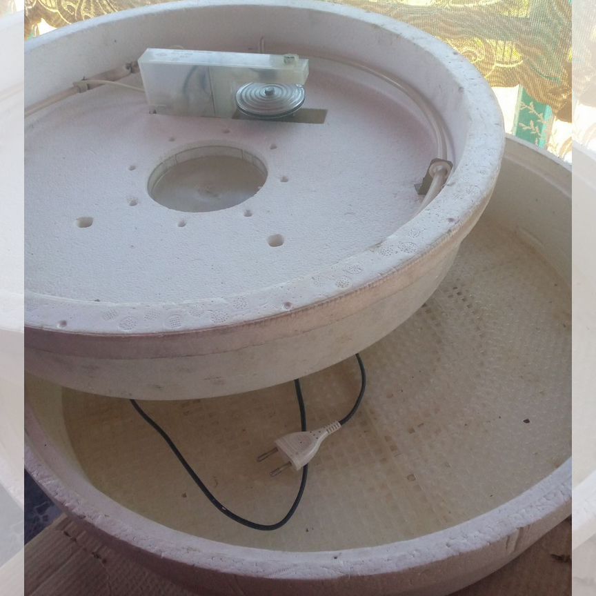 Инкубатор для яиц