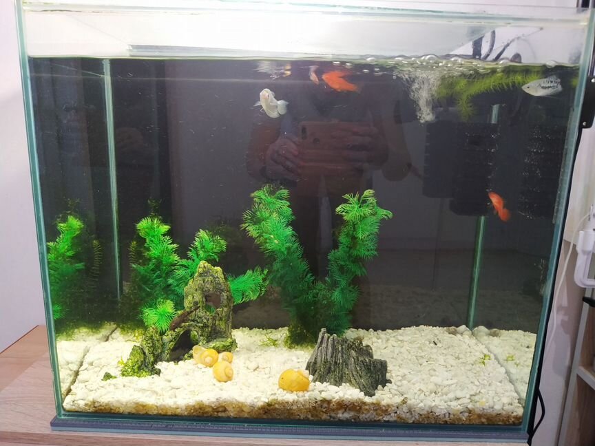 Аквариум 90 литров