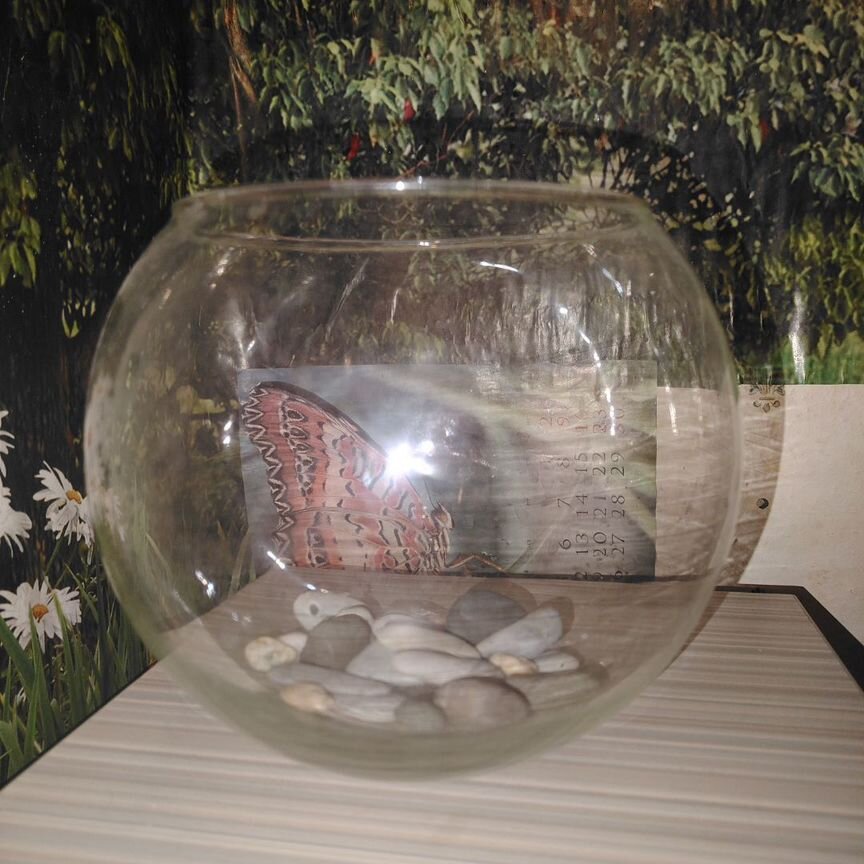 Аквариум круглый