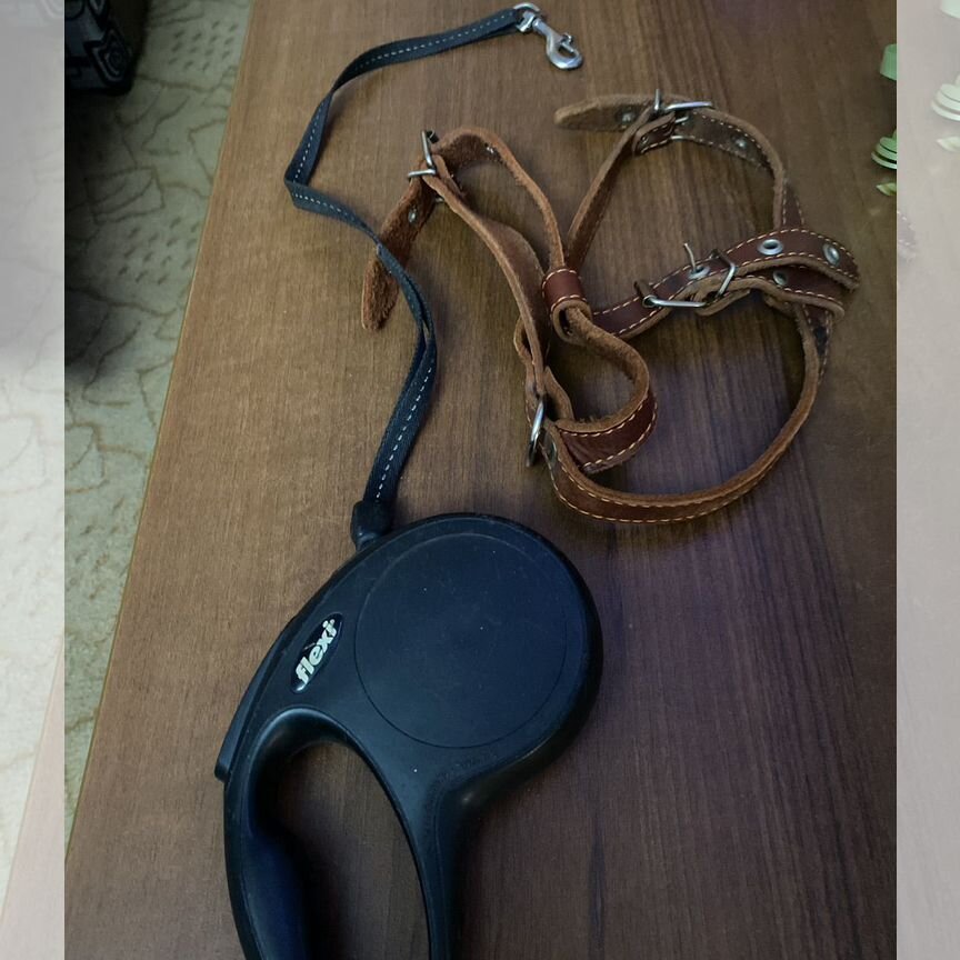 Шлейка для маленькой собакии поводок