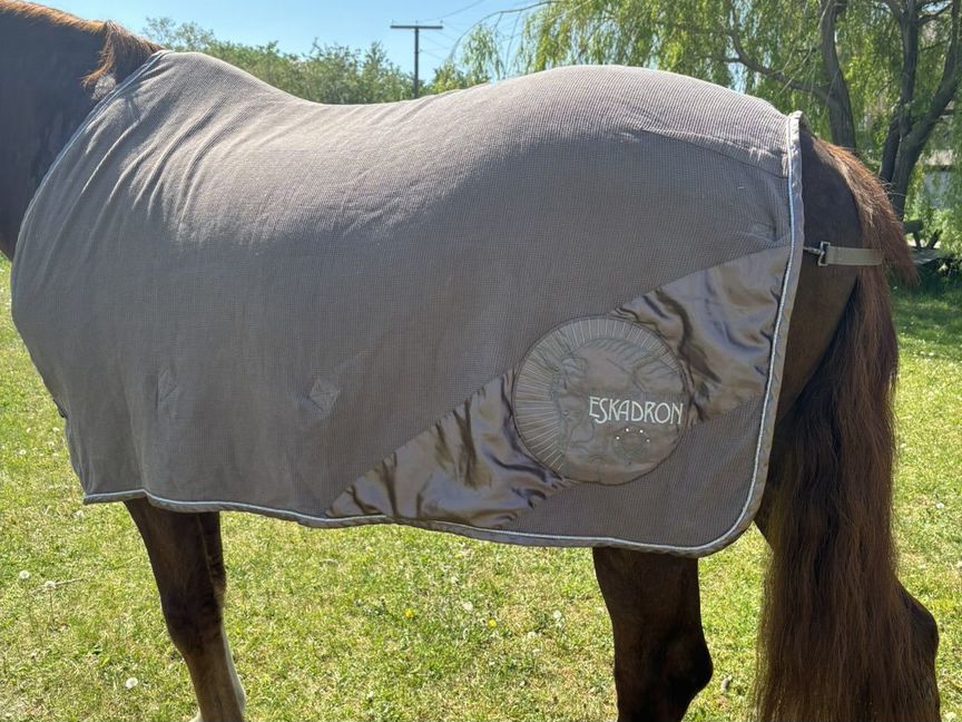 Попона eskadron